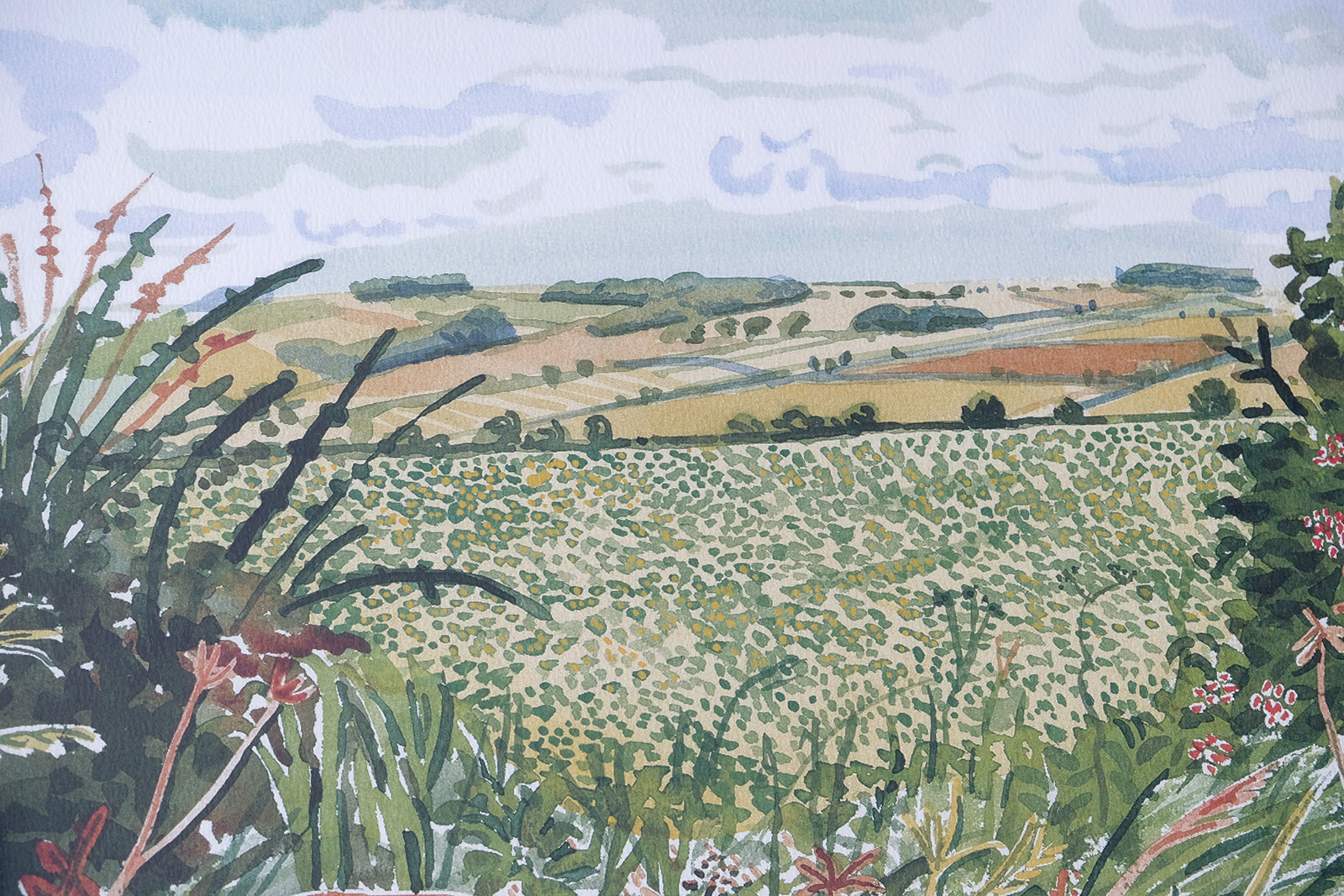 David Hockney - Picture UK